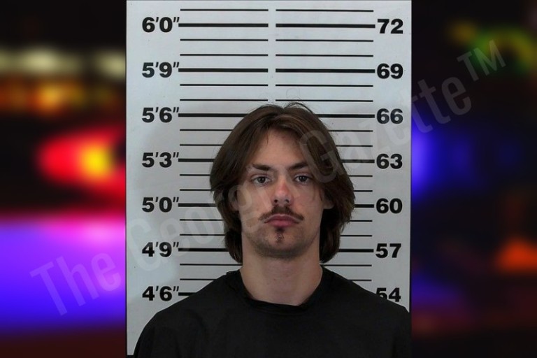Daniel Moore — Hart County Jail Bookings
