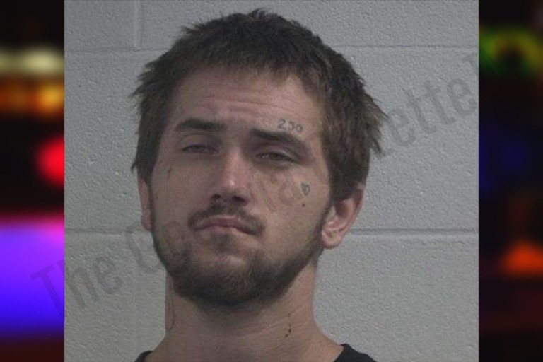 McDuffie County Jail Bookings – Page 2 – The Georgia Gazette