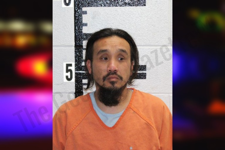 Murray County Jail Bookings – Page 8 – The Georgia Gazette