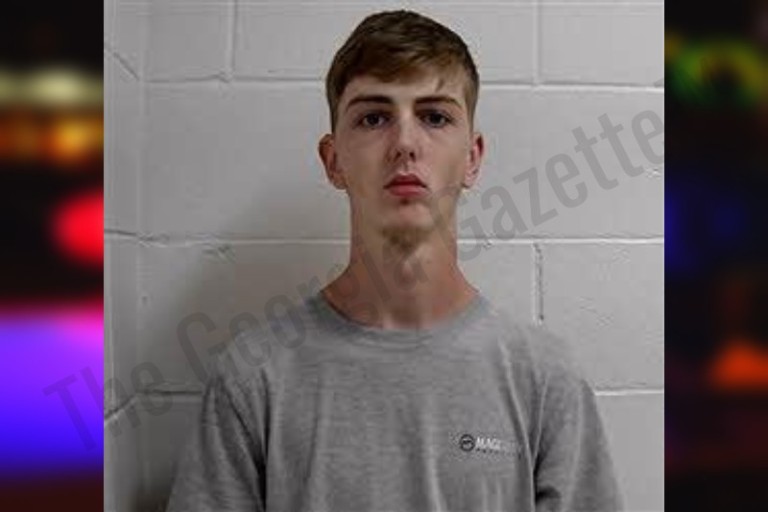 Chandler Odom — Decatur County Jail Bookings