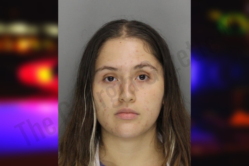 Lara Oliveira — Cobb County Jail Bookings