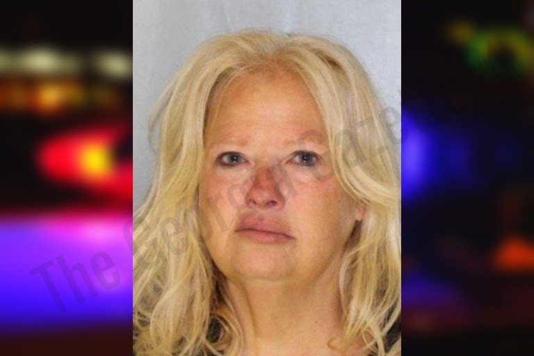 Michelle Parisi — Hall County Jail Bookings