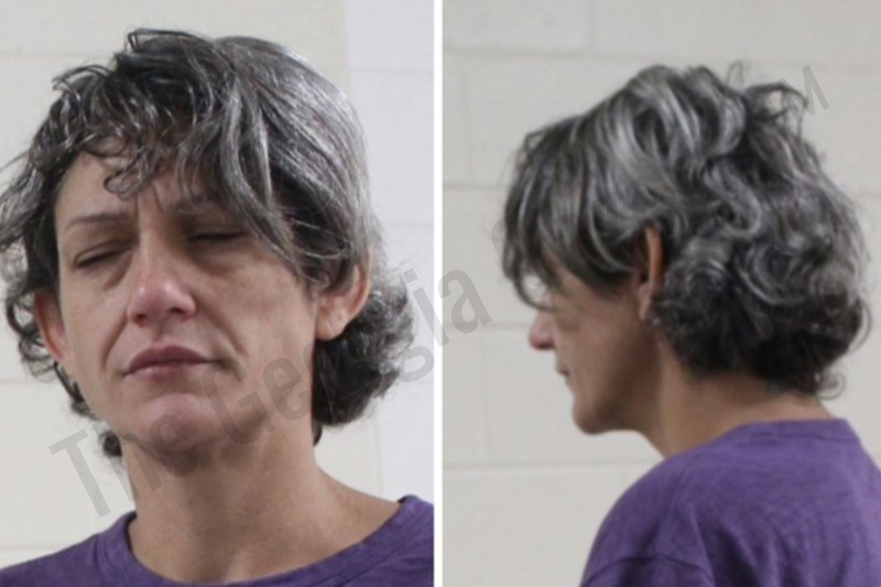 Angela Persinger — Houston County Jail Bookings