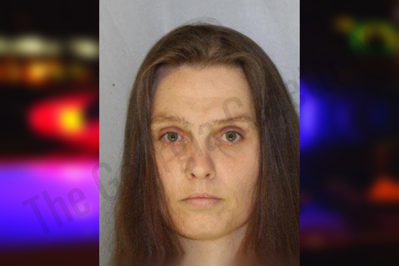 Diamond Robinson — Hall County Jail Bookings