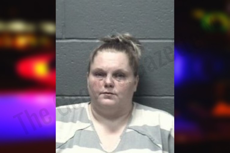 Ashley Rodriguez-Viveros — Forsyth County Jail Bookings