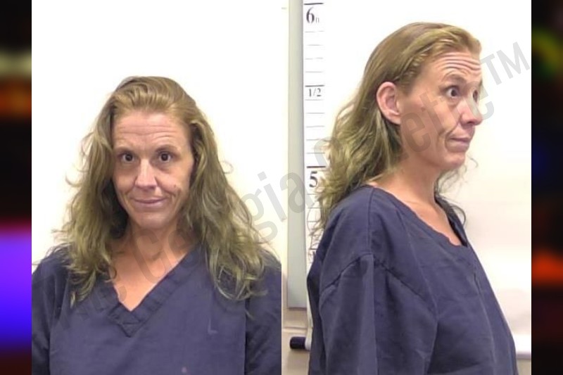 Helen Rollins — Clarke County Jail Bookings