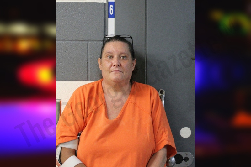 Laura Reicher — Lumpkin County Jail Bookings