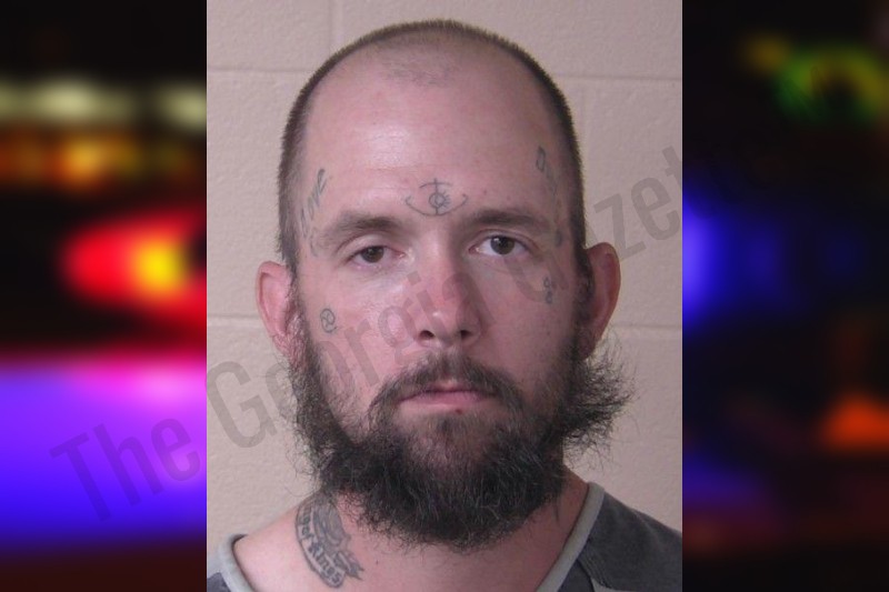 Travis Roden — Walker County Jail Bookings