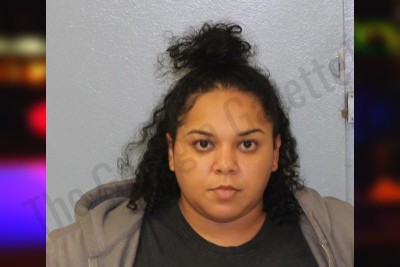 Brittany Rozier — McIntosh County Jail Bookings