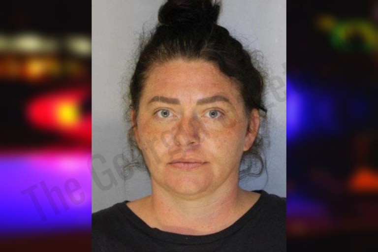 Megan Seabolt — Hall County Jail Bookings