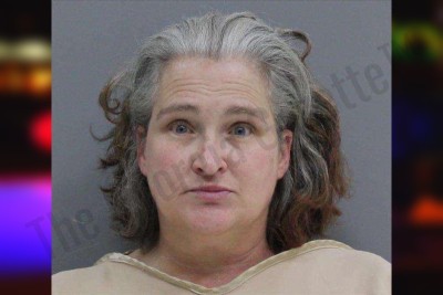 Susan Shook — Rabun County Jail Bookings