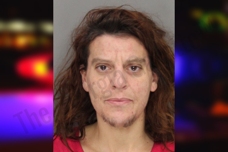 Holly Stanley — Cobb County Jail Bookings