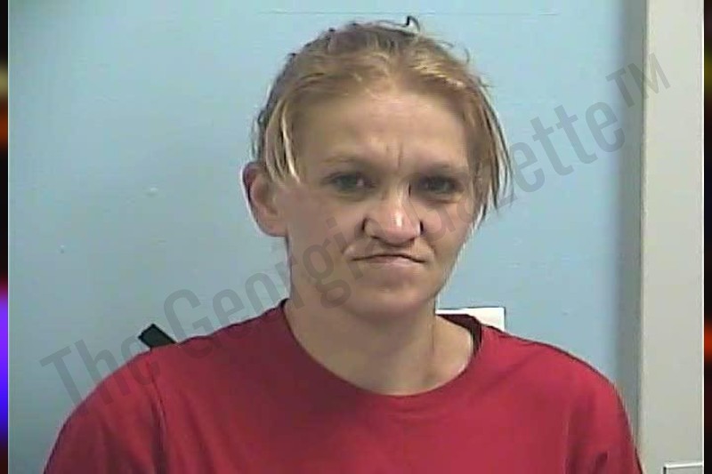 Amy Stephens — Dawson County Jail Bookings