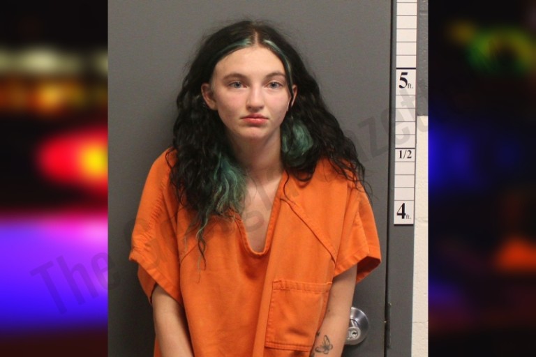 Hailey Stott — Lumpkin County Jail Bookings