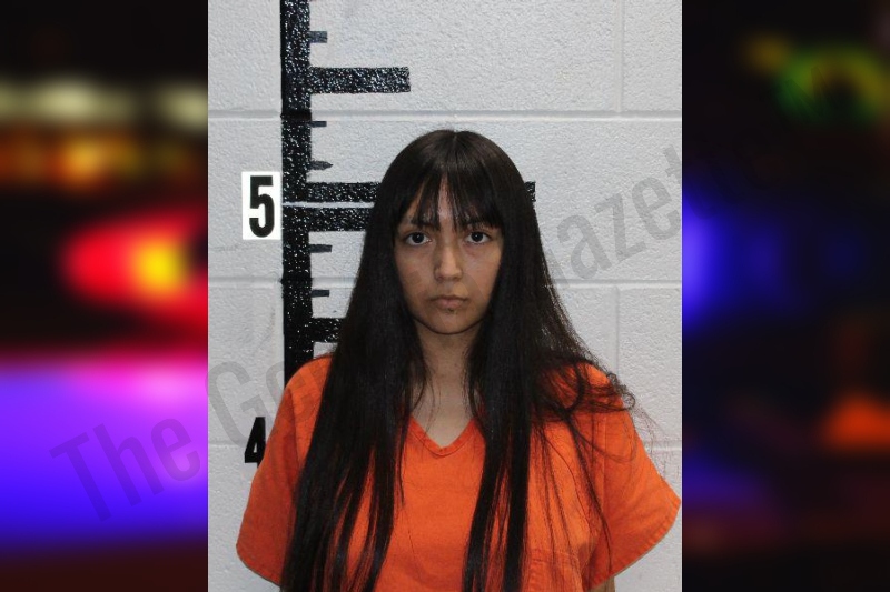 Ginger Styer — Murray County Jail Bookings