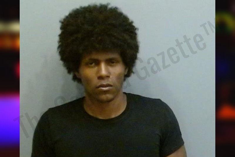 Nicholas Sullivan — Fulton County Jail Bookings