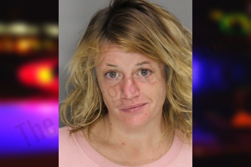 Kimberly Terrell — Cobb County Jail Bookings