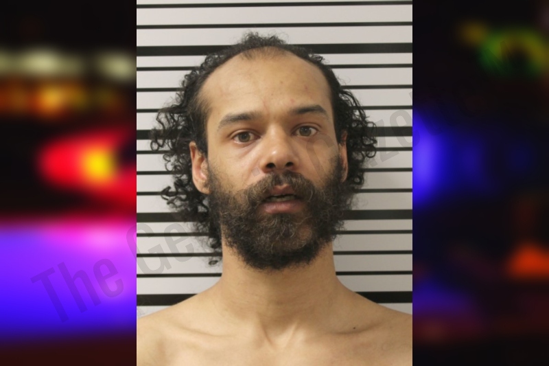 Brandon Tillman — Toombs County Jail Bookings