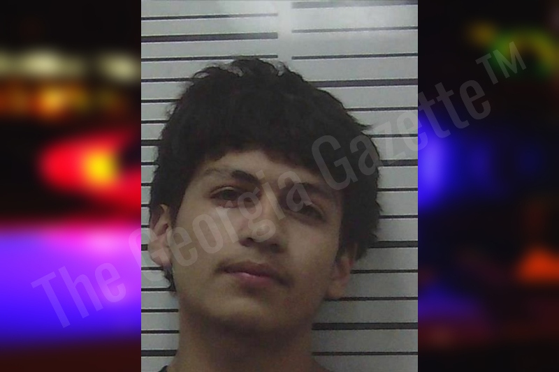 Brandon Torres — Colquitt County Jail Bookings