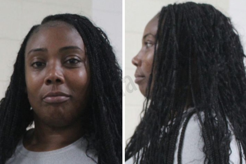 Shanice Turner — Houston County Jail Bookings