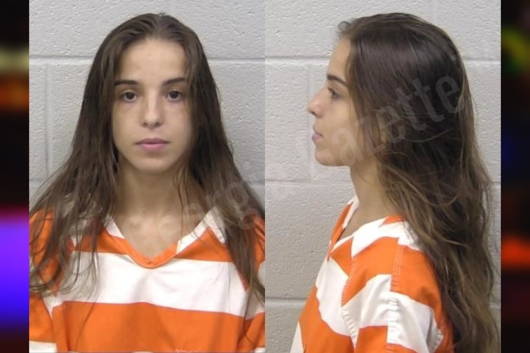 Michelle Vernet Colatriano — Paulding County