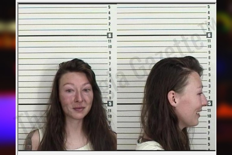 Ryan Waddell — Camden County Jail Bookings