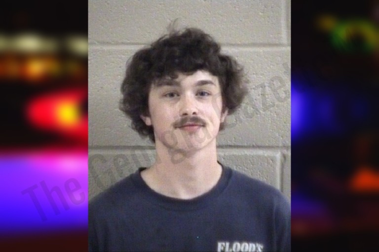 Whitfield County Jail Bookings – Page 4 – The Georgia Gazette