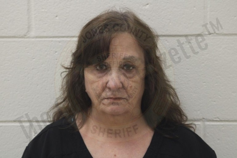 Lisa Wilday — Jones County Jail Bookings