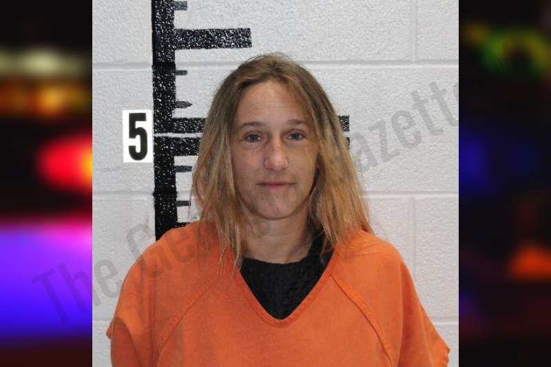 Destiny Willis — Murray County Jail Bookings