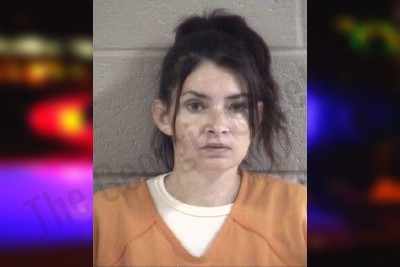 Vanessa Young — Whitfield County Jail Bookings