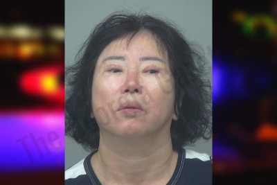 Chong Yu — Gwinnett County Jail Bookings