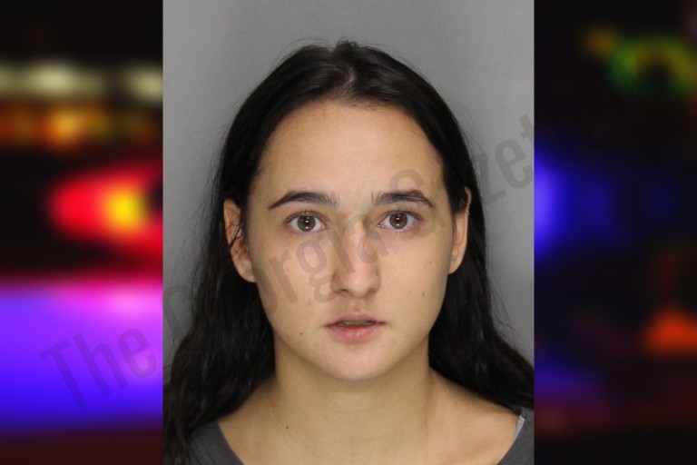 Anna Zgutowicz — Cobb County Jail Bookings