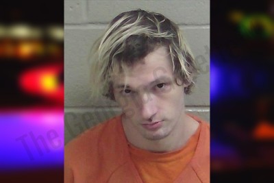 Nicholas Ziza — Wayne County Jail Bookings