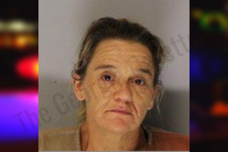 April Aldridge — Hall County Jail Bookings