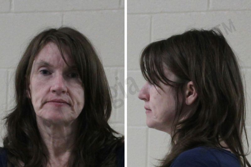 Anna Acree — Houston County Jail Bookings