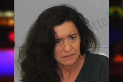 Jennifer Bridges — McIntosh County Jail Bookings