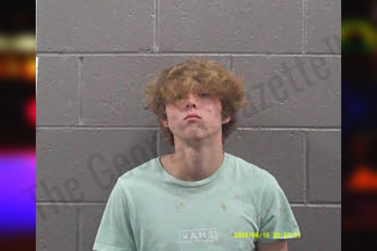 Banks County Jail Bookings – Page 3 – The Georgia Gazette
