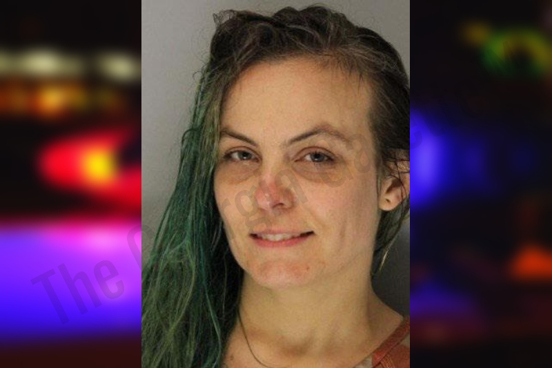 Jennifer Brooks — Hall County Jail Bookings