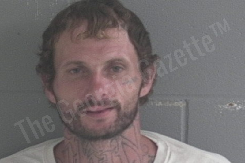 Harold Bargeron — Brantley County Jail Bookings