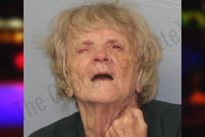 Trisha Bement — McIntosh County Jail Bookings