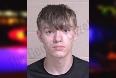 Remer Burnsed — Walker County Jail Bookings