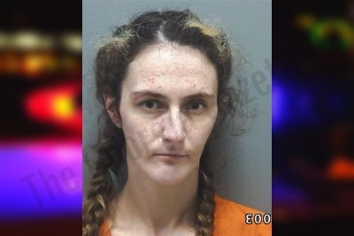 Cherokee County Jail Bookings – Page 3 – The Georgia Gazette