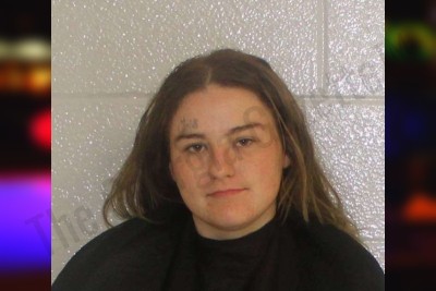Alexis Cook — Carroll County Jail Bookings