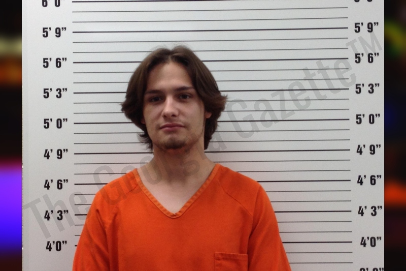Christopher Chance — Pickens County Jail Bookings
