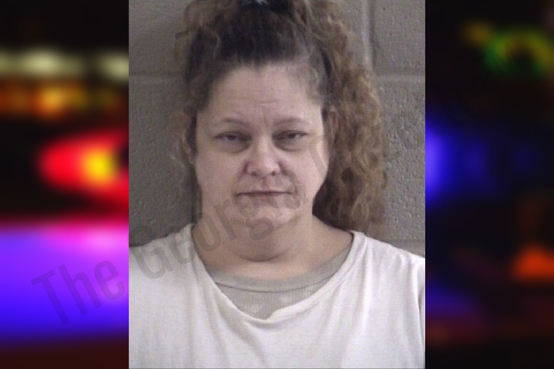 Kelli Cochran — Whitfield County Jail Bookings