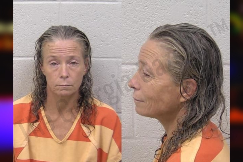 Sonya Converse — Paulding County Jail Bookings
