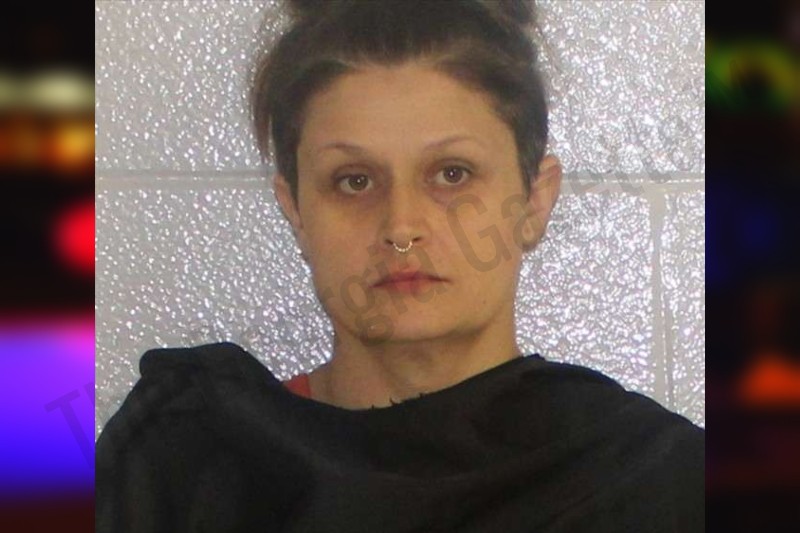 Ashley Denney — Carroll County Jail Bookings