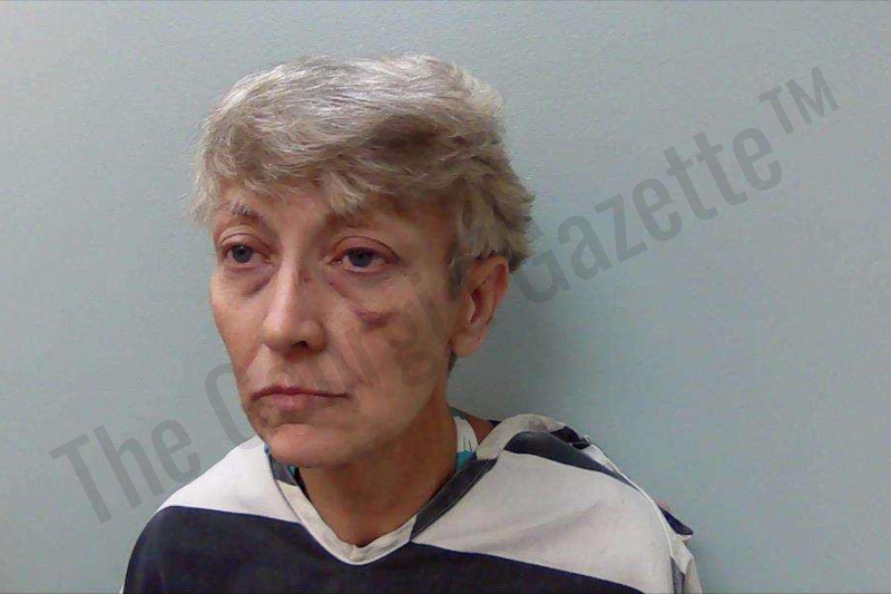 Angela Davis — Evans County Jail Bookings