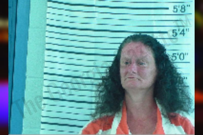 Tonya Deal — Stephens County Jail Bookings