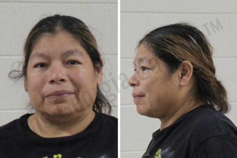 Leticia Dimas-Paniagua — Houston County Jail Bookings